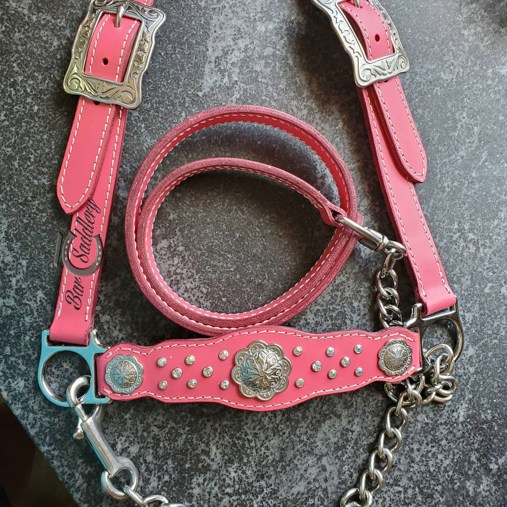 Cattle Show Halter – Bar C Saddlery